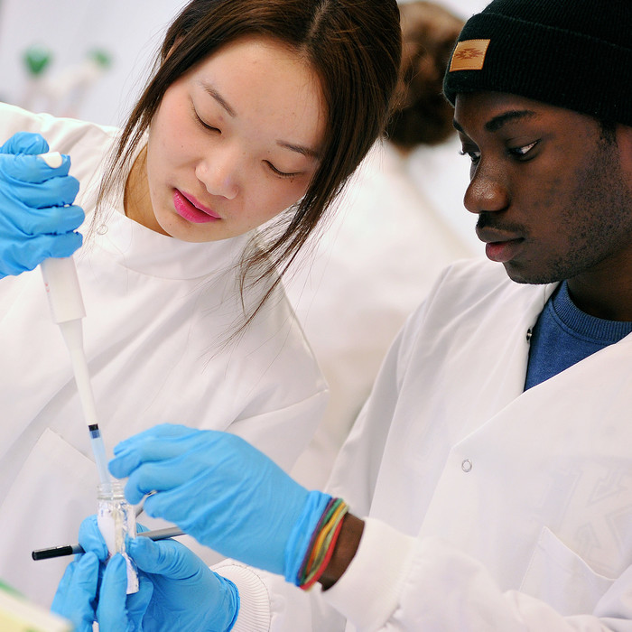 Advisors Zone | Brunel University London