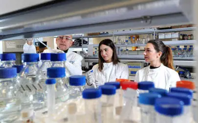 College of Health, Medicine and Life Sciences | Brunel University of London