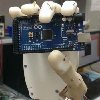 Ambidextrous robot hand
